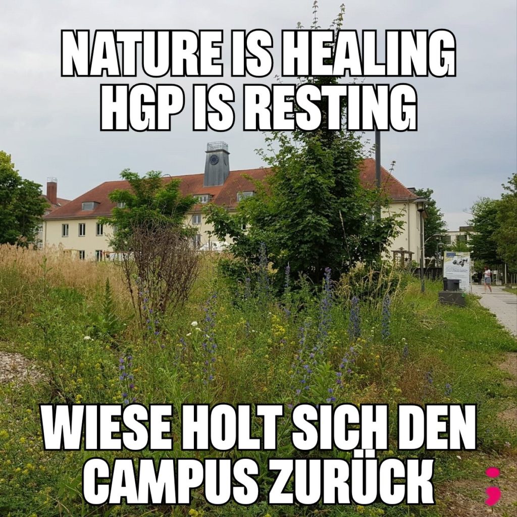 Oh My Campus – Semikolon